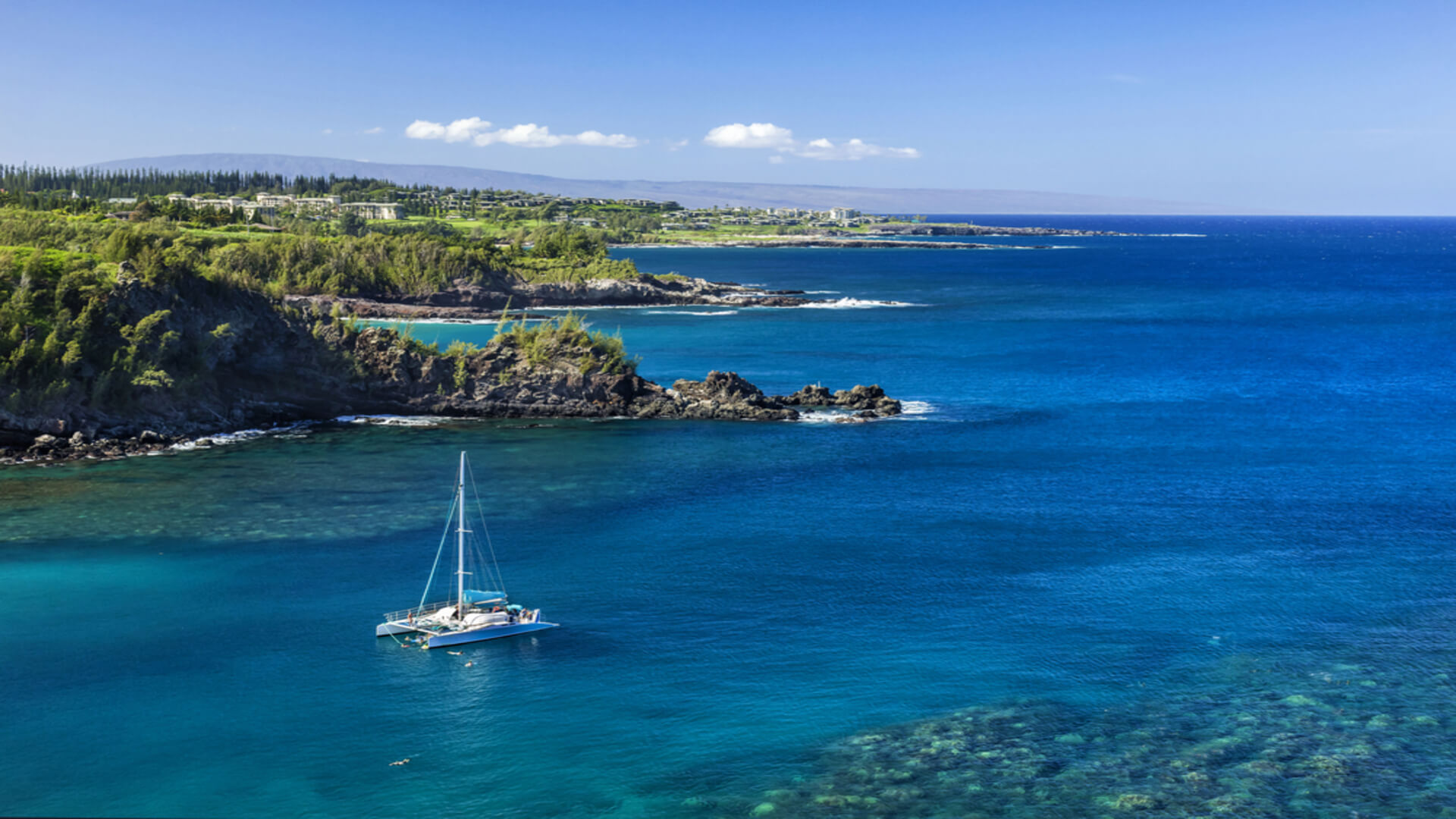 Making Waves: The Best Maui Boat Charters | Parrish Maui