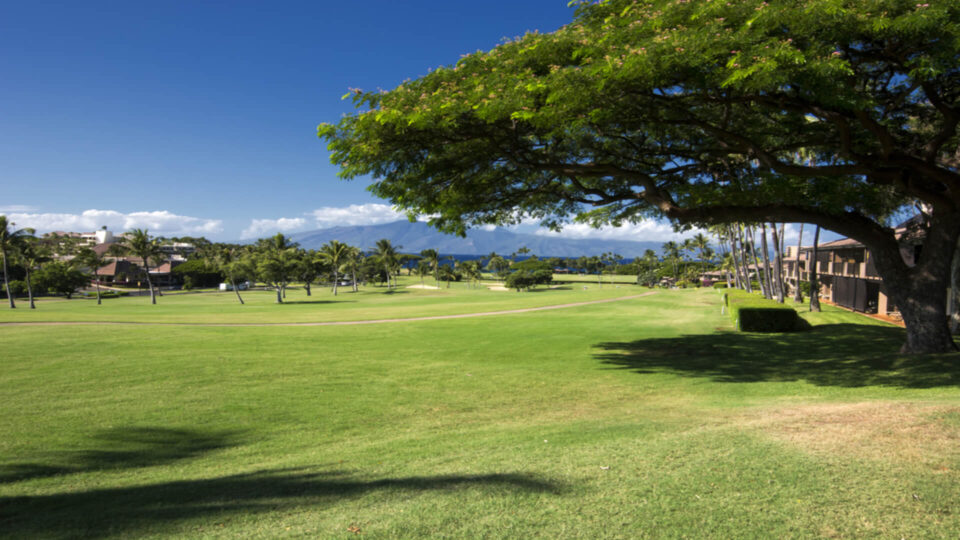 Kaanapali Golf Courses: Golfing Paradise in West Maui